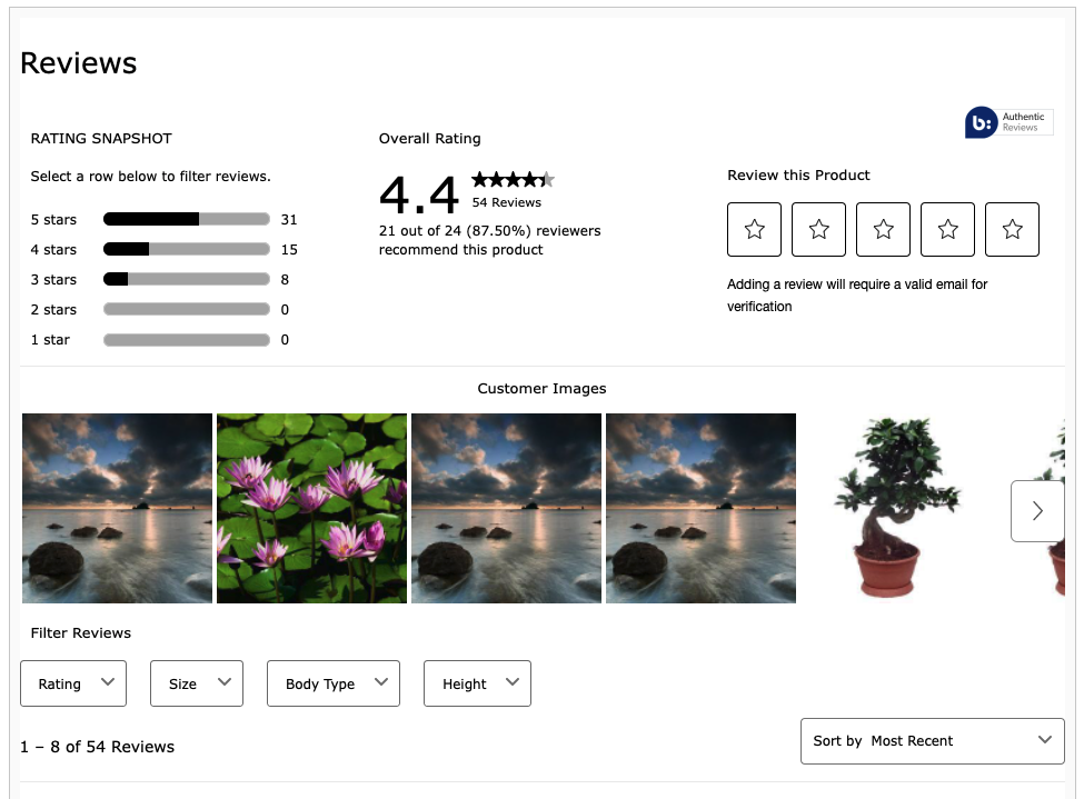 Photo-First Reviews Display